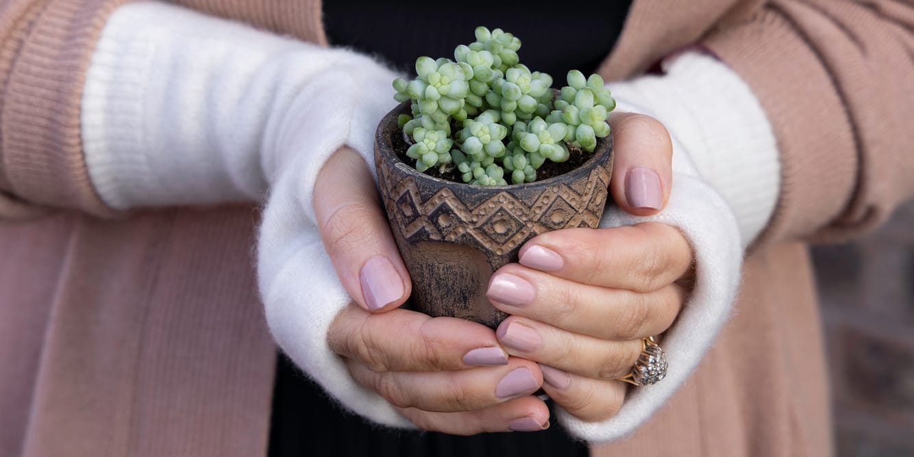 The Turtle Doves Story | Sustainable Cashmere Accessories